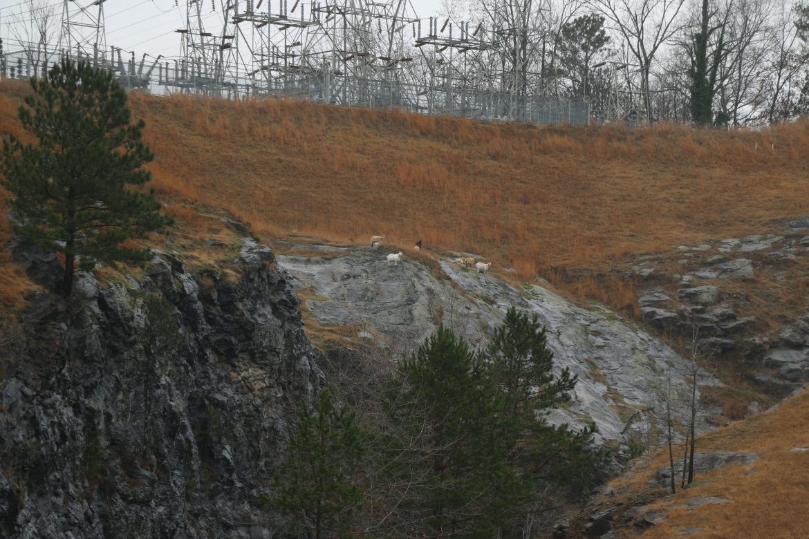 Buford Dam Site Visit | Chattahoochee RiverLands