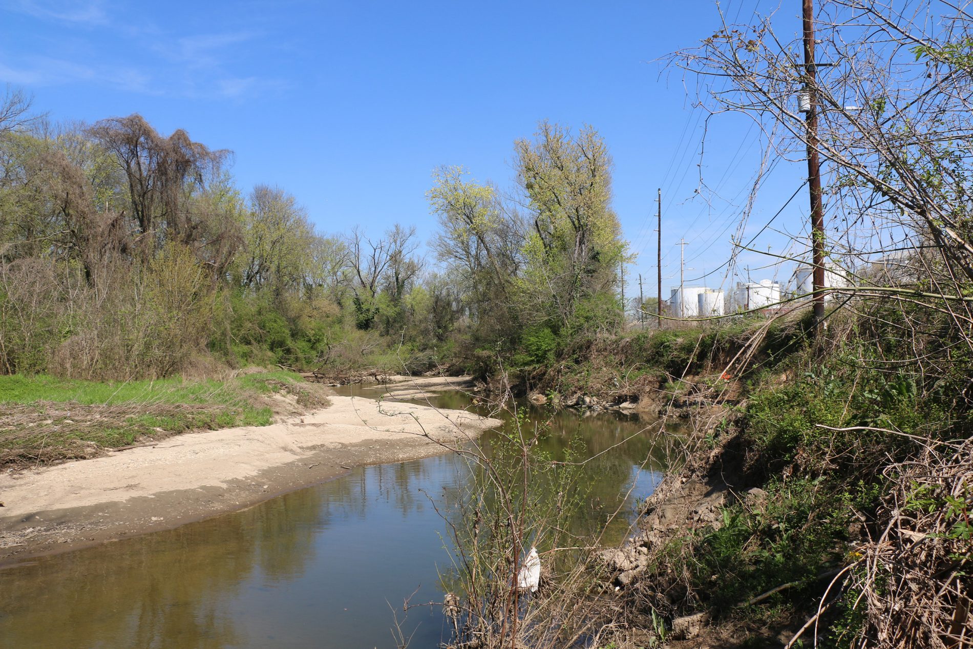 A Closer Look at Proctor Creek's Ecology | Chattahoochee RiverLands