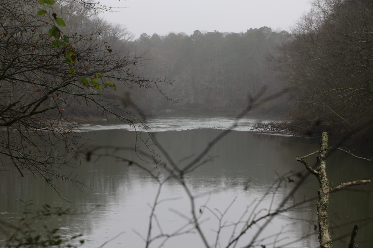 Fish Weir at Bowman’s Island | Chattahoochee RiverLands