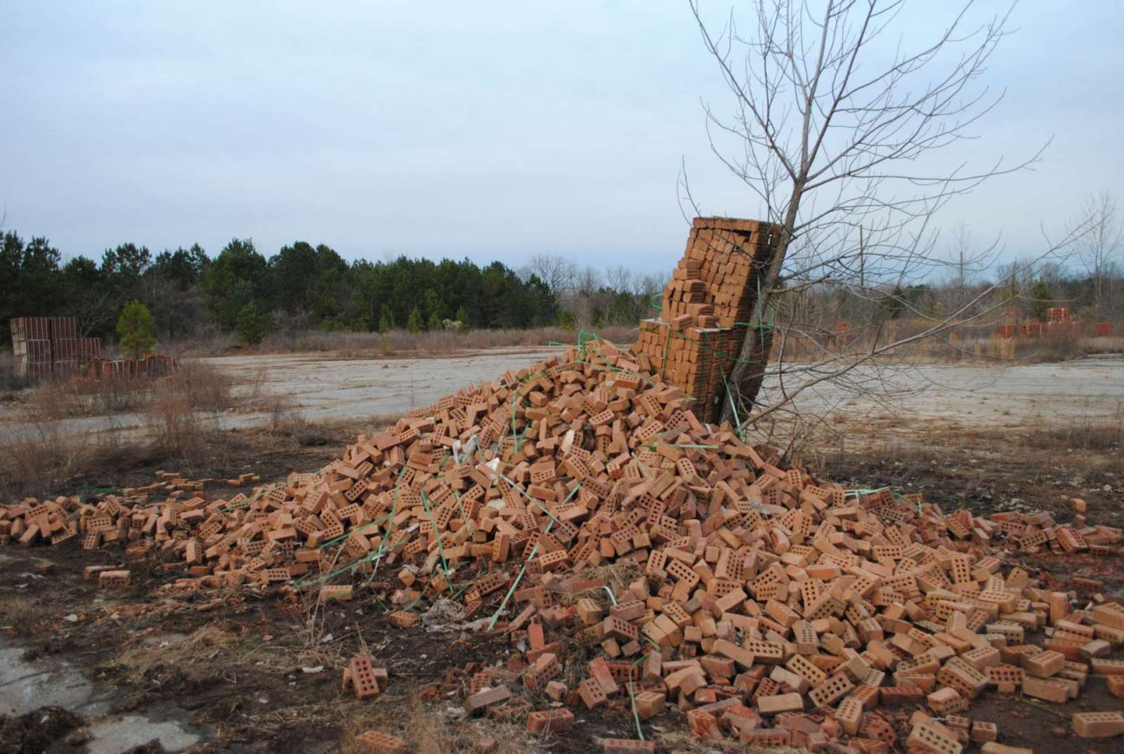 Chattahoochee Brick Company Site Visit | Chattahoochee RiverLands