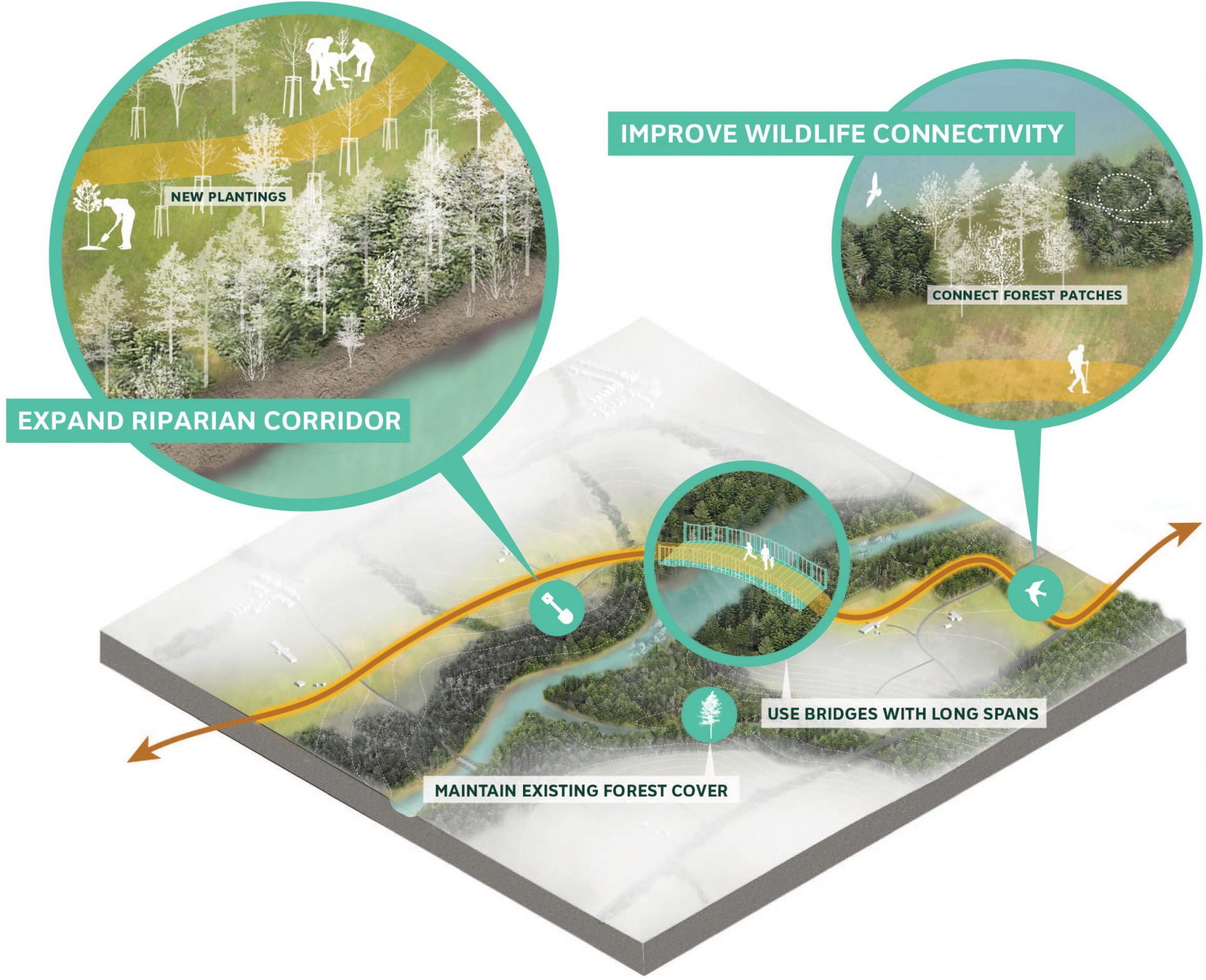 An Ecological Refuge | Chattahoochee RiverLands