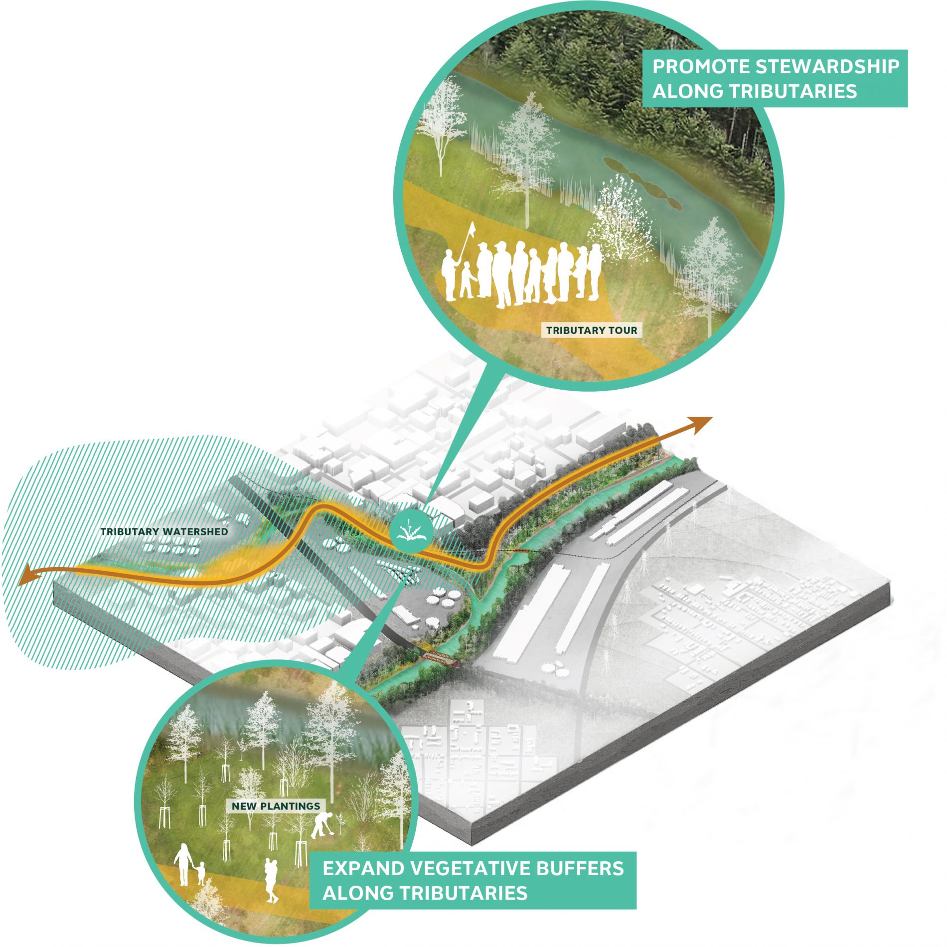 An Ecological Refuge | Chattahoochee RiverLands