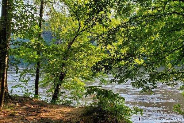Chattahoochee River National Recreation Area (CRNRA) Cochran Shoals ...